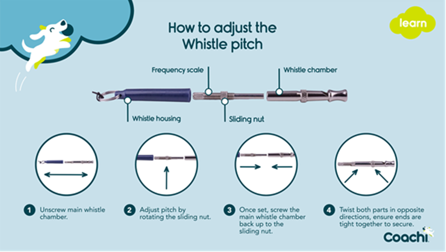 Guide to Coachi Dog Whistles and Whistle Frequencies – Company Of Animals
